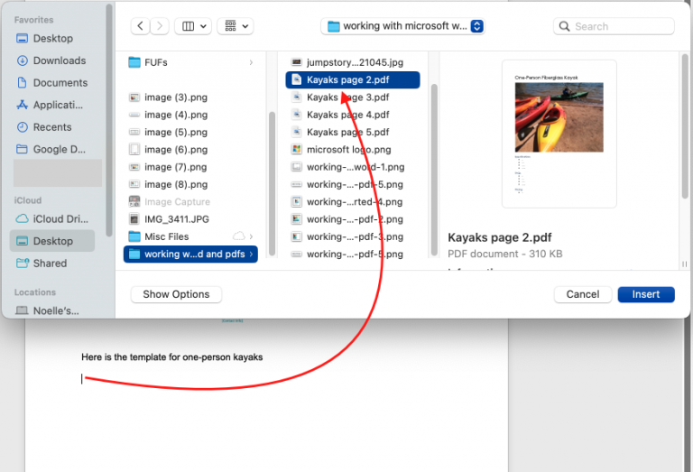 Working With PDFs and Microsoft Word - PDF.Live