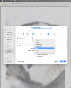 PDF to JPG Converter: How to Change PDF to JPEG